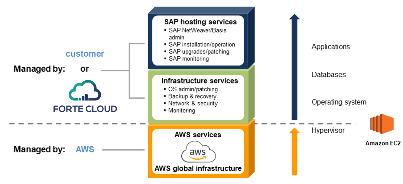 Cloud Managed Services and Support Services - FORTE CLOUD